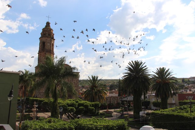 Ayuntamiento de Cuquio - Galería - Plaza Cuquio